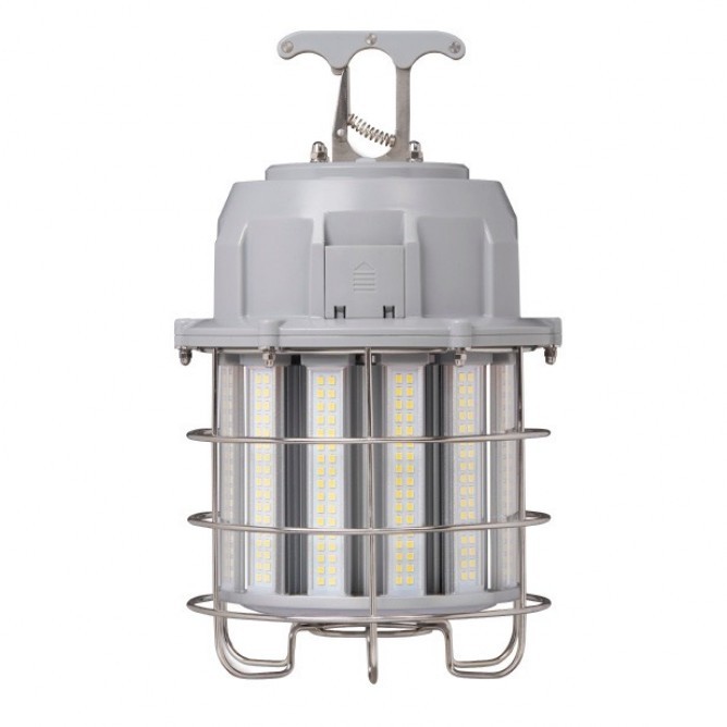 Light Efficient Design LED-9009-100-5C Light Efficient Design 100 Watt ...